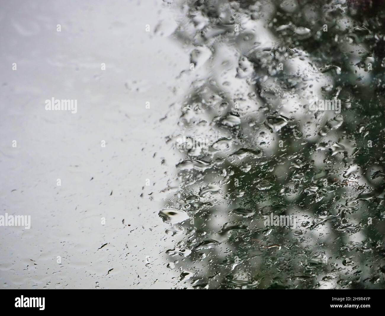 Rainy day view out the window with water droplets on the glass Stock ...