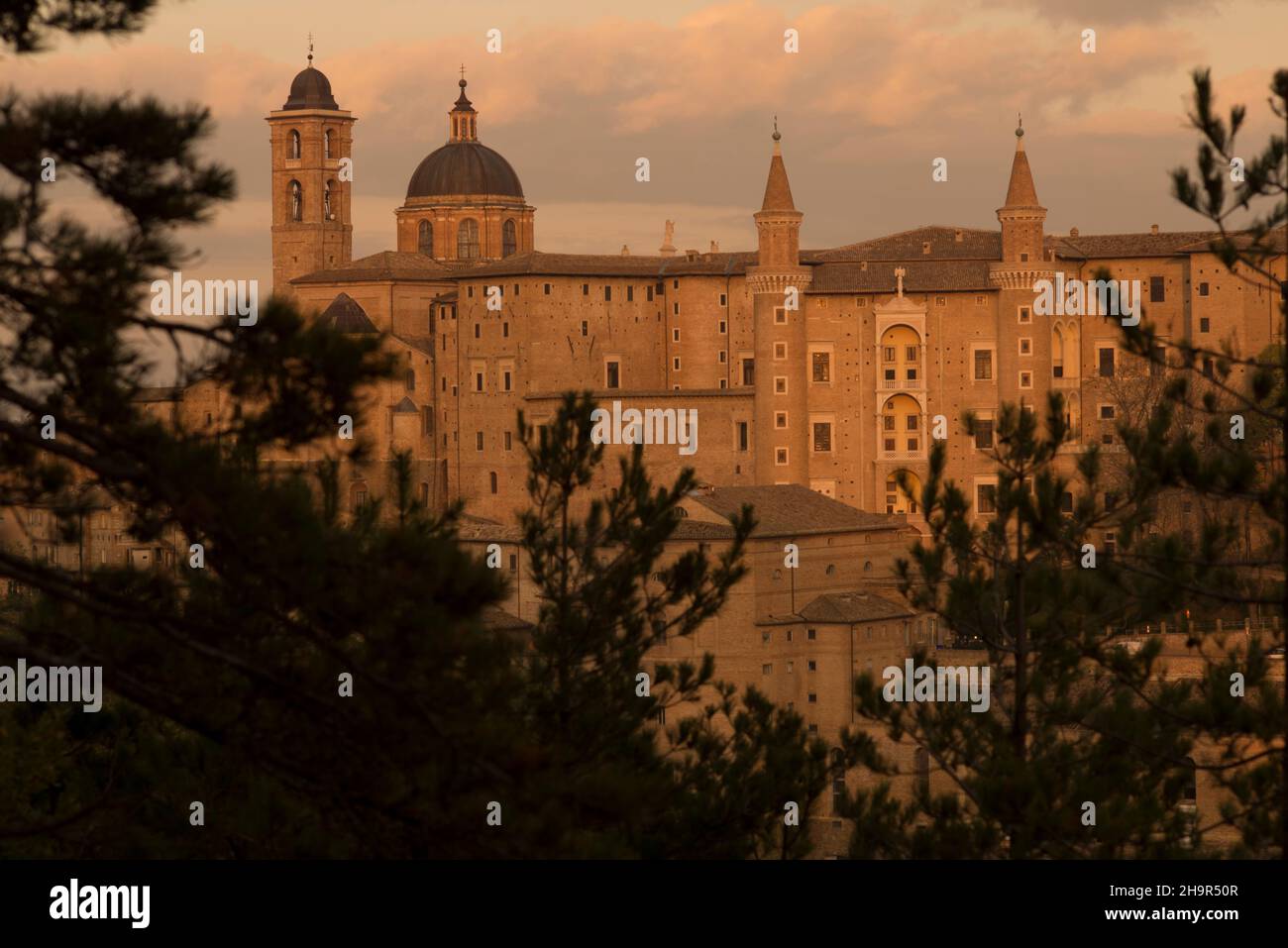 Urbino,Palazzo Ducale, the Ducal Palace at the dusk, Urbino, Marche ...