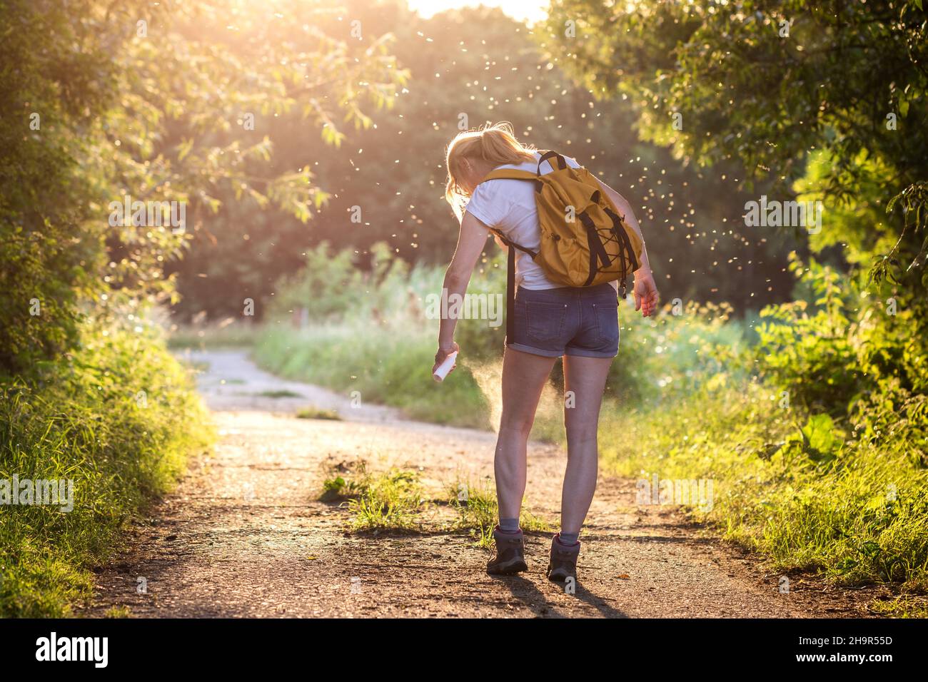 Woman applying insect repellent against mosquito and tick on her leg ...