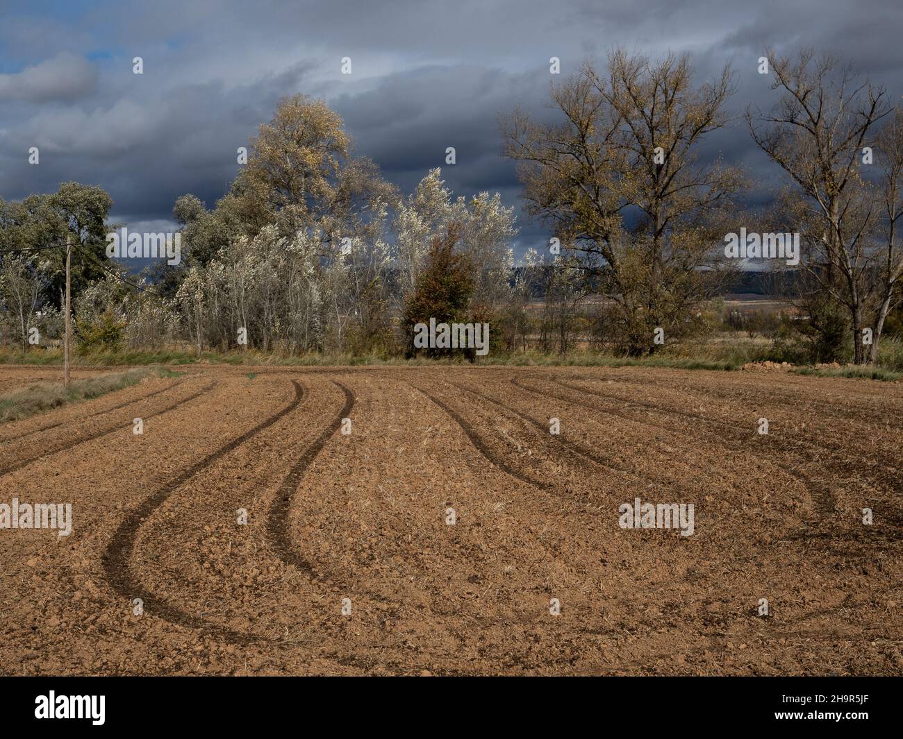 Field with manure track hi-res stock photography and images - Alamy