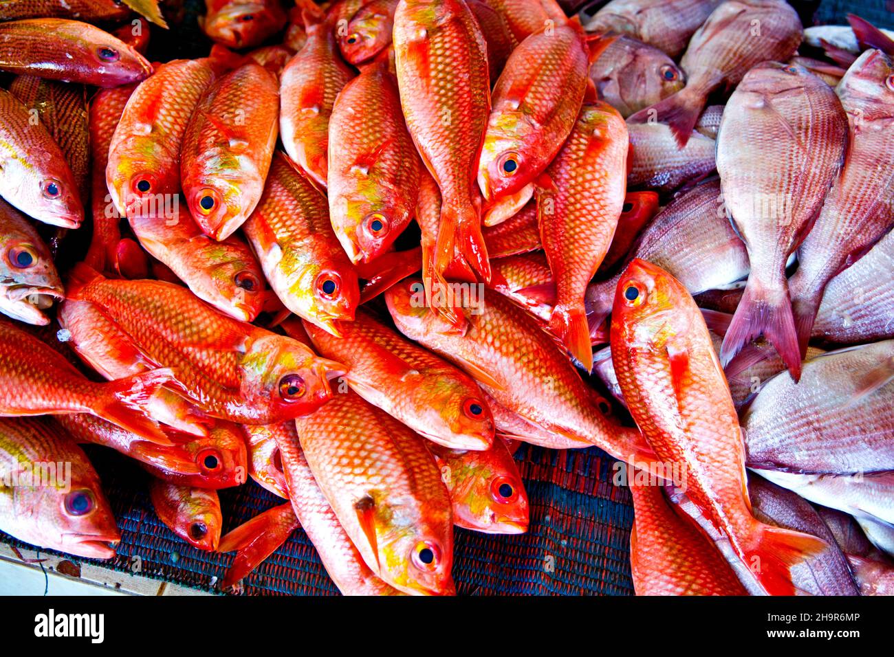 Mutrah Fish Market, Muscat, Oman Stock Photo - Alamy