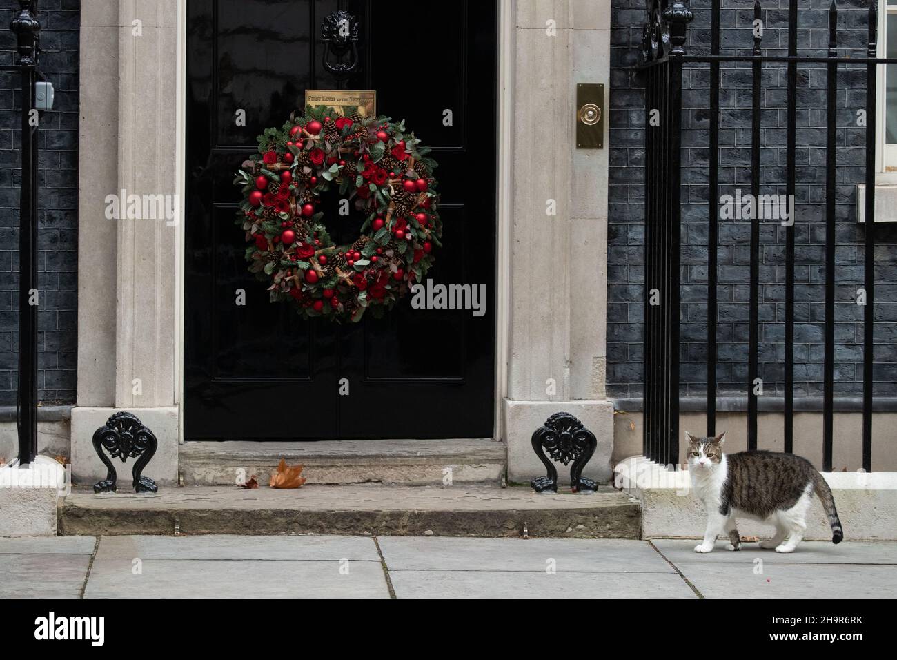 Larry the cat number 10 hi-res stock photography and images - Alamy