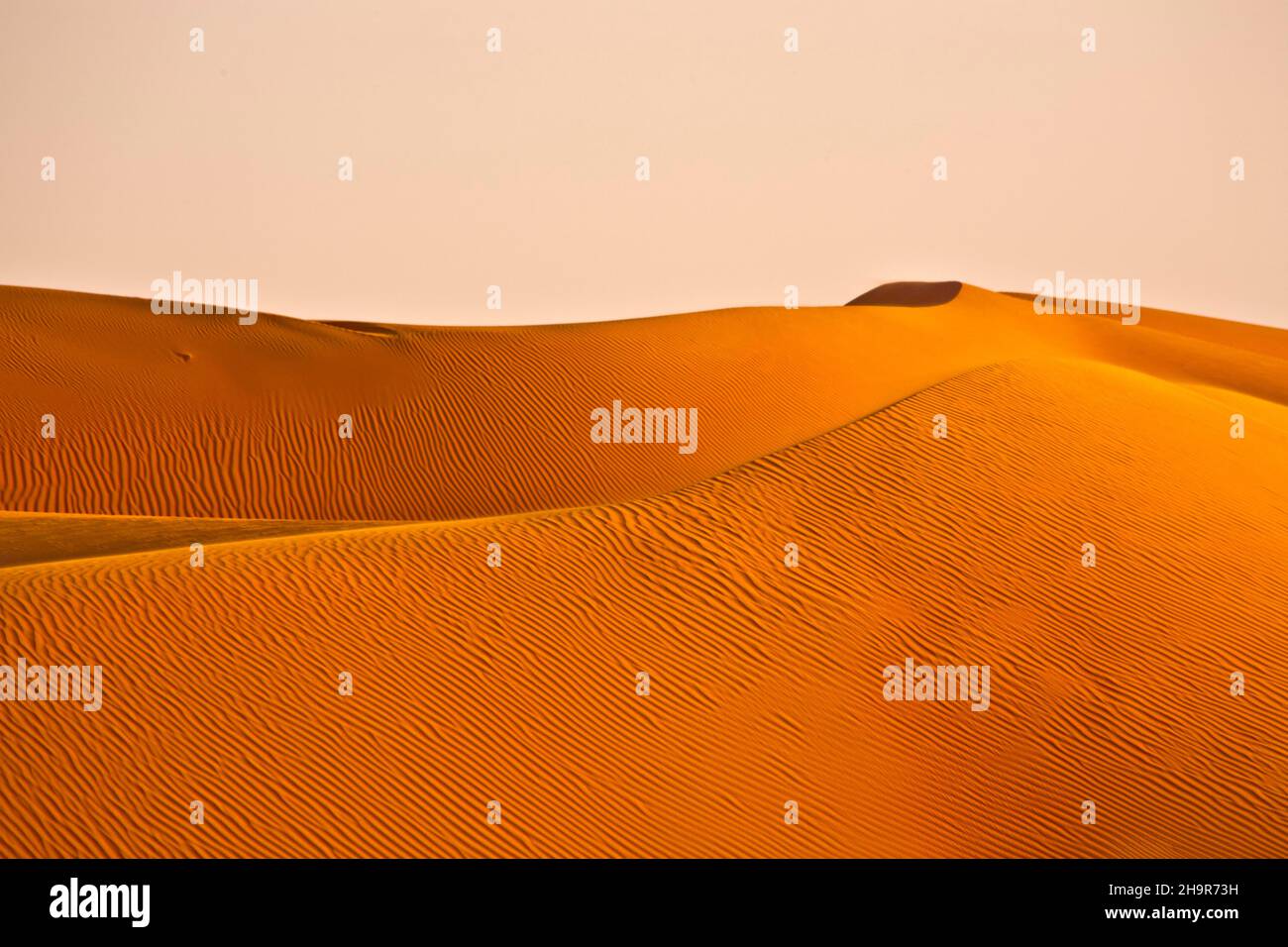 Sand Dunes, Wahiba Sands/Desert, Wahiba Sands/Desert, Oman Stock Photo ...
