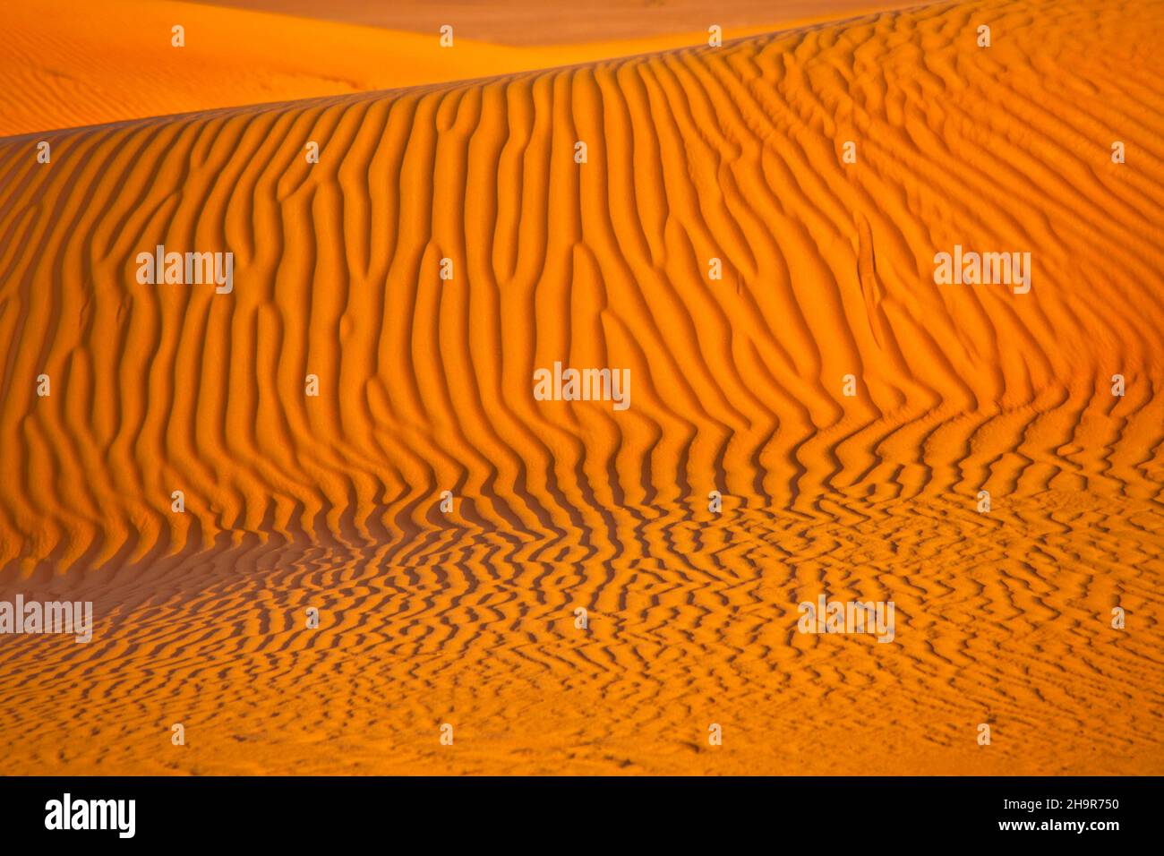 Sand Dunes, Wahiba Sands/Desert, Wahiba Sands/Desert, Oman Stock Photo ...