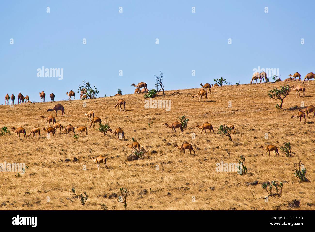 Jebel samhan hi-res stock photography and images - Alamy