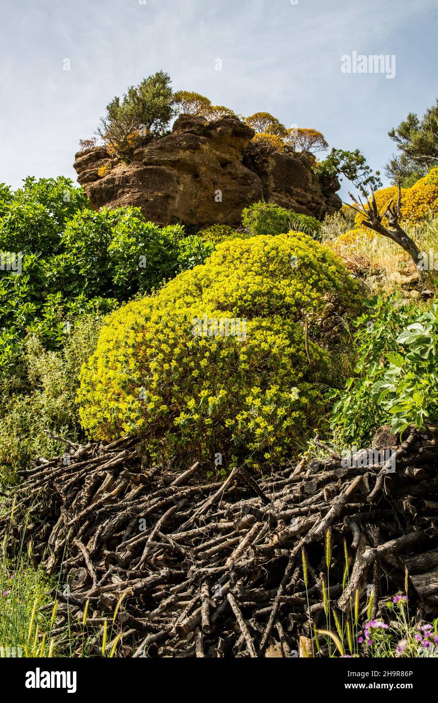 Colourful nature at Polyrinia, Crete, Polyrinia, Crete, Greece Stock ...
