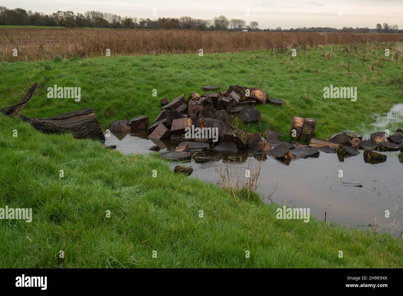 Logs floating in water hi-res stock photography and images - Alamy