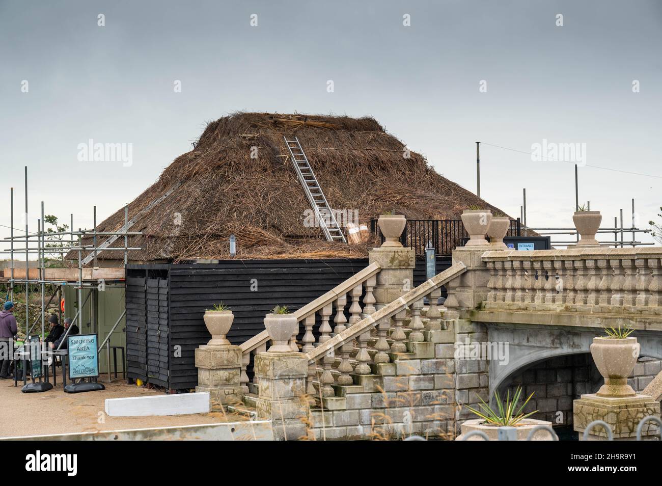 Thatched roof on a building being repaired with new thatch in Norfolk ...