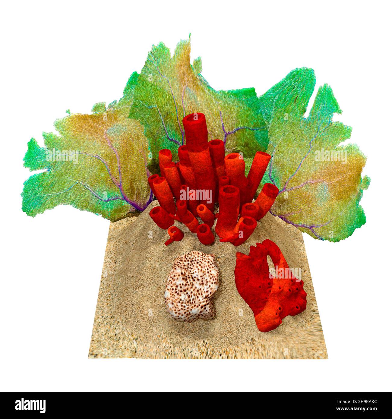 3D rendering of a red coral isolated on white background Stock Photo ...