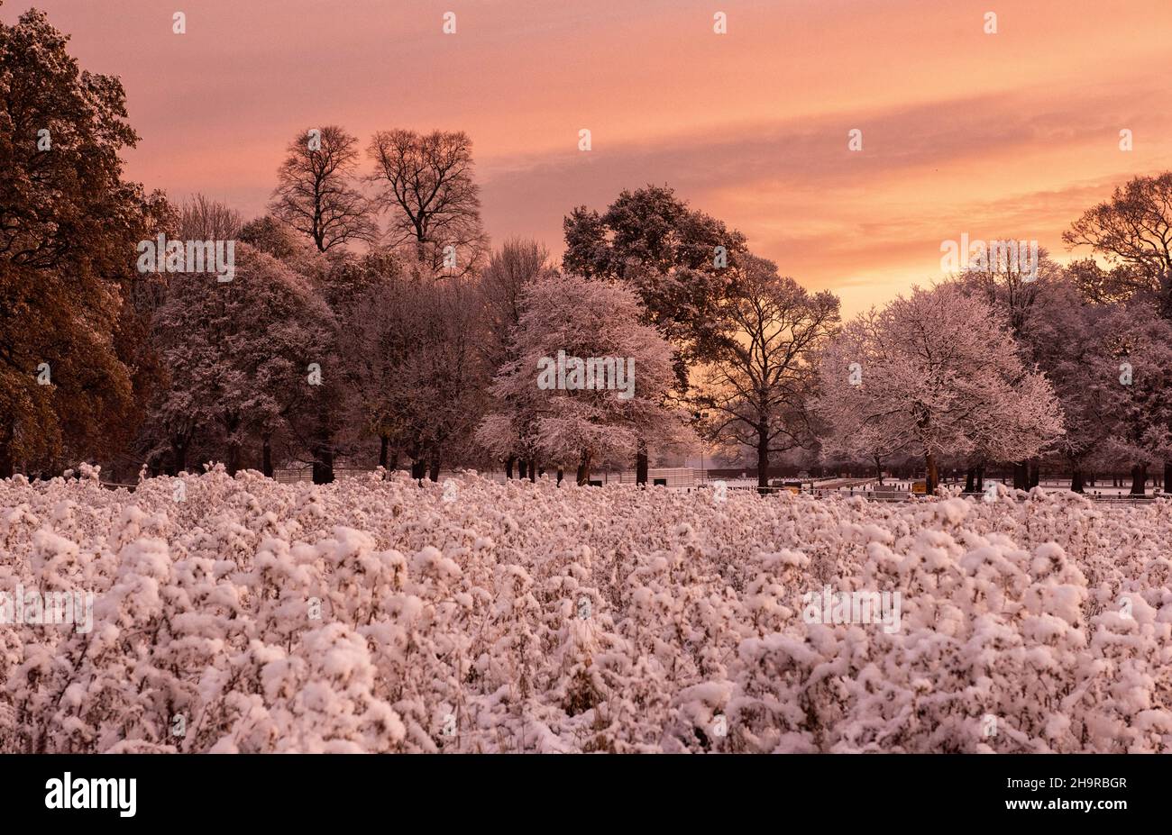 Snowy winter sunrise at Wollaton Hall Park in Nottingham ...