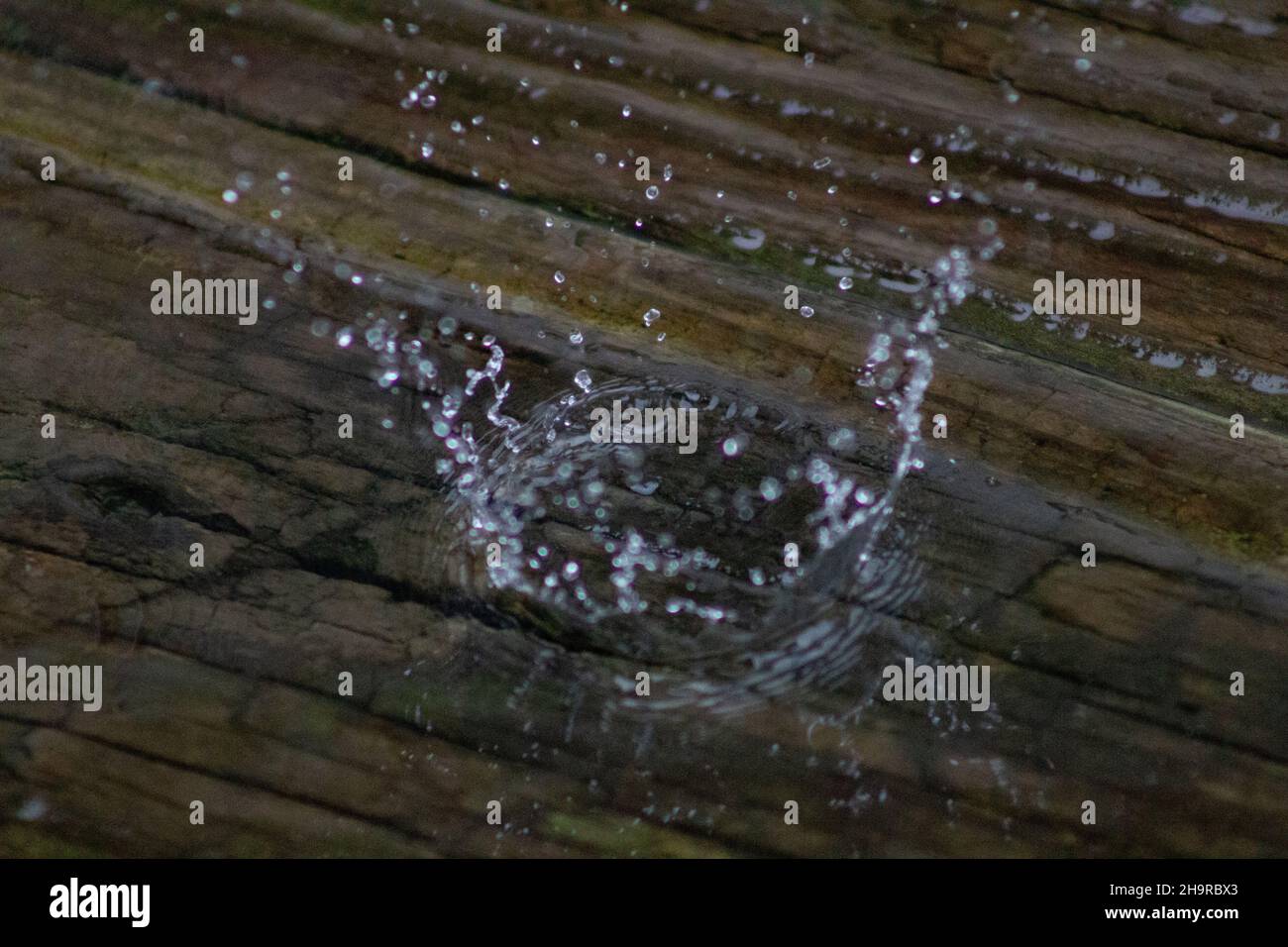 Beautiful view of a splash of water on a wooden surface Stock Photo - Alamy