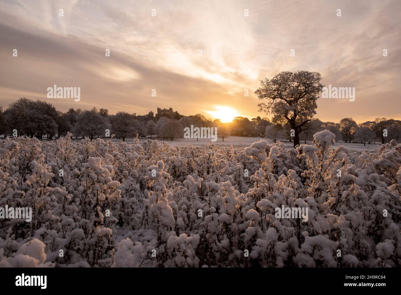 Snowy winter sunrise at Wollaton Hall Park in Nottingham ...