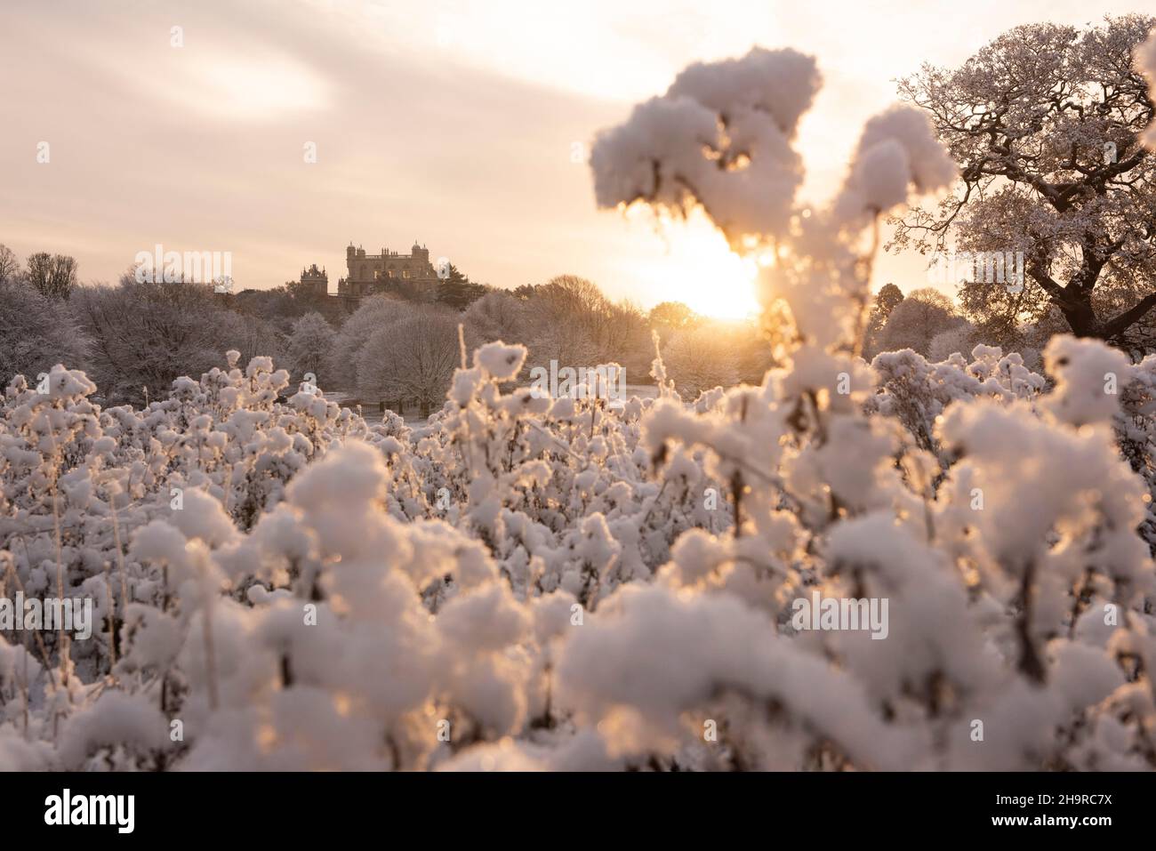 Snowy winter sunrise at Wollaton Hall Park in Nottingham ...