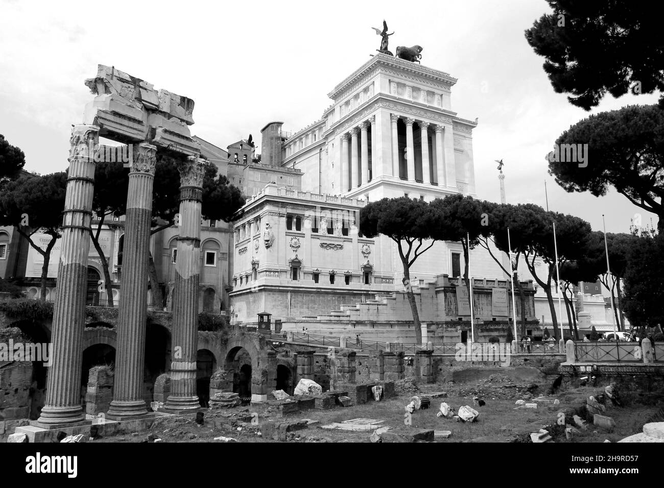 Beautiful black and white shot of the Roman Forum with three columns of ...