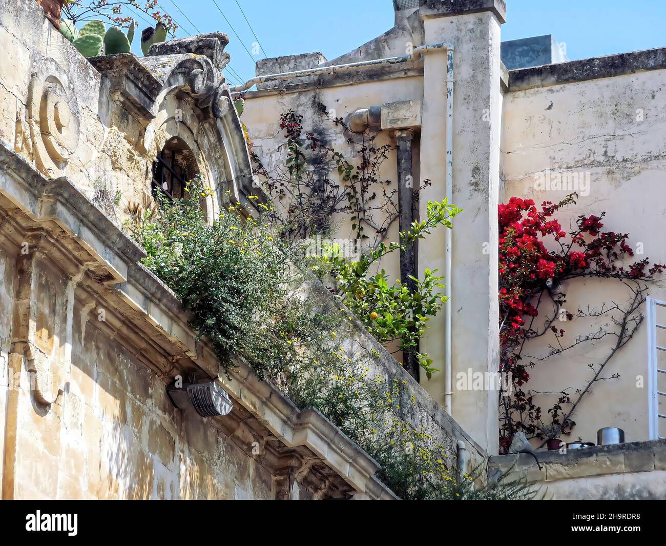 Beautiful shot of an upper part of building covered with flowers Stock ...