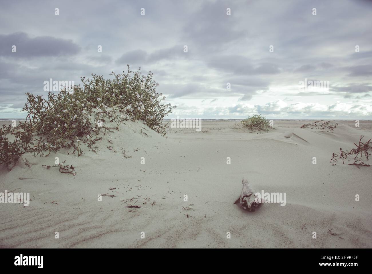 Barely visible horizon hi-res stock photography and images - Alamy