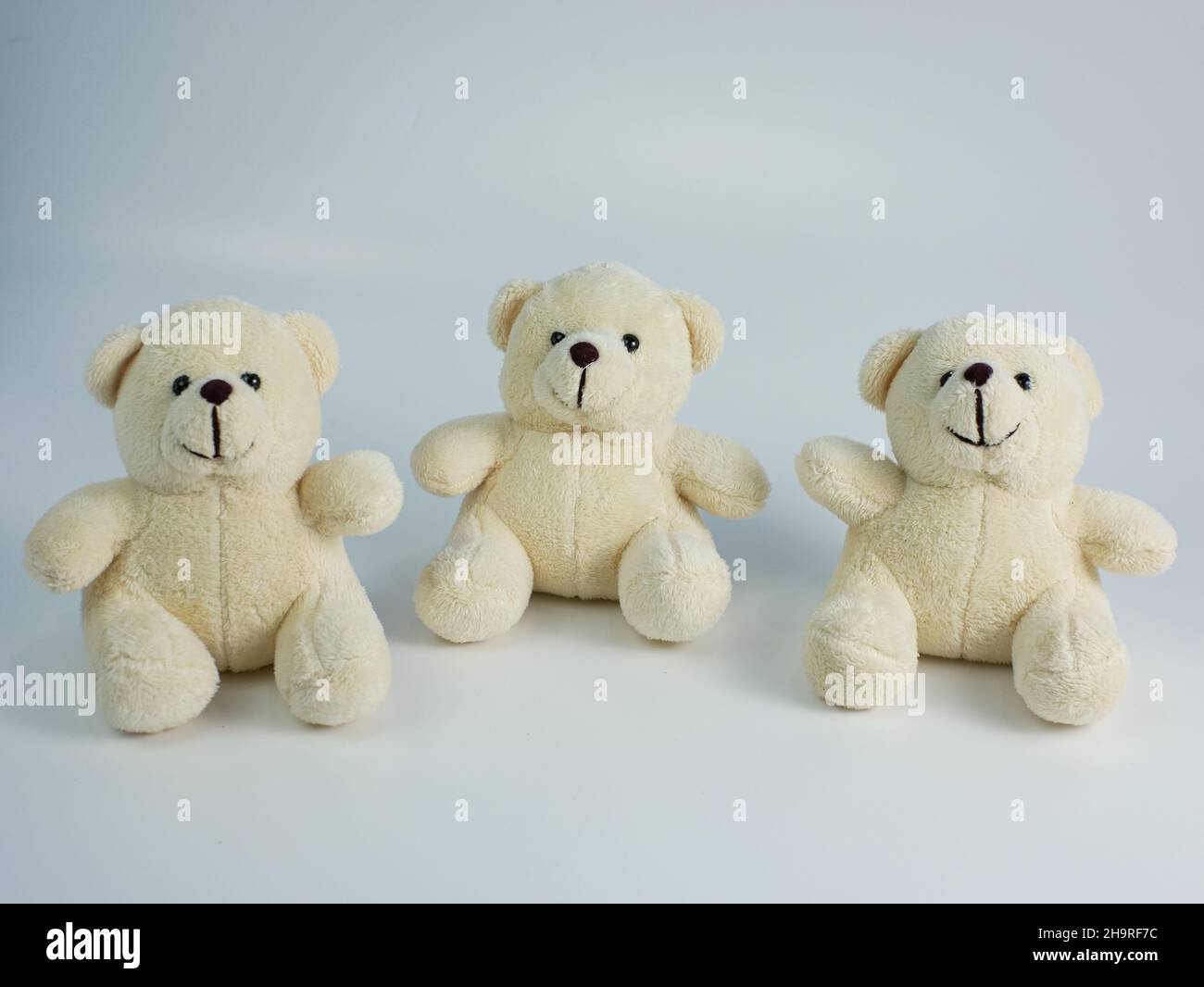 three teddy bears isolated on a white background Stock Photo - Alamy