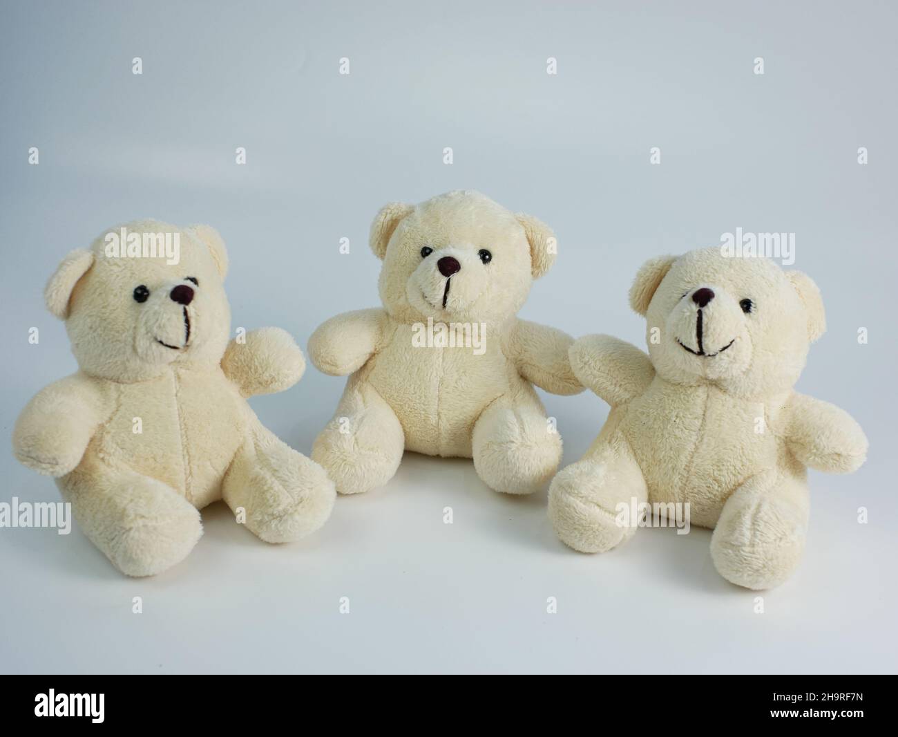 three teddy bears isolated on a white background Stock Photo - Alamy