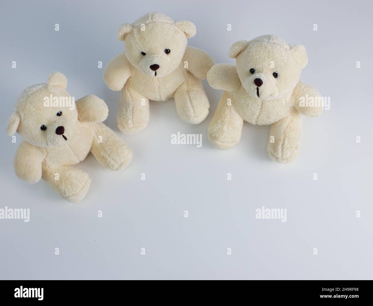 top view of three teddy bears isolated on a white background Stock ...