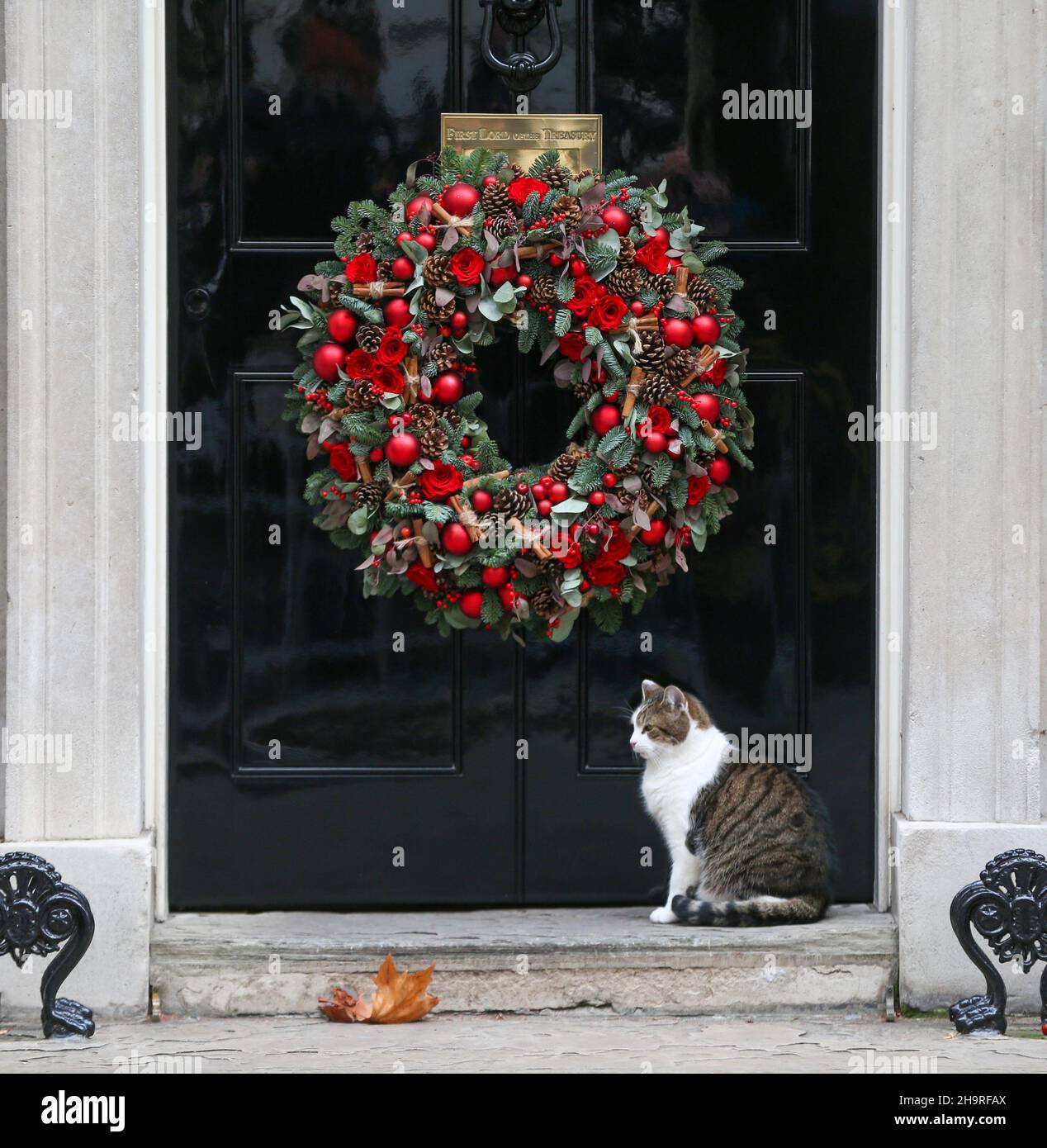 London, England, UK. 8th Dec, 2021. UK Prime Minister's office's cat ...