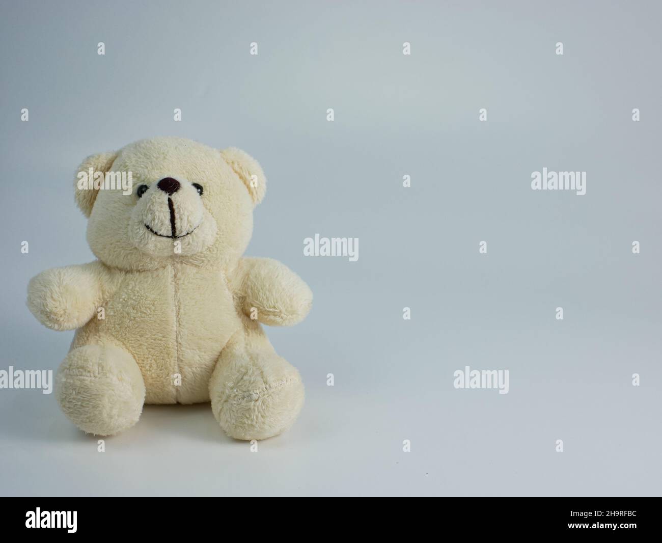 white teddy bear isolated on a white background. copy space ready to ...