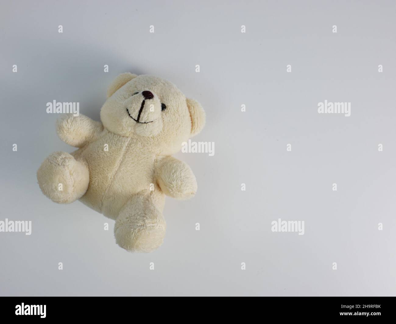 top view of white teddy bear isolated on a white background. copy space ...