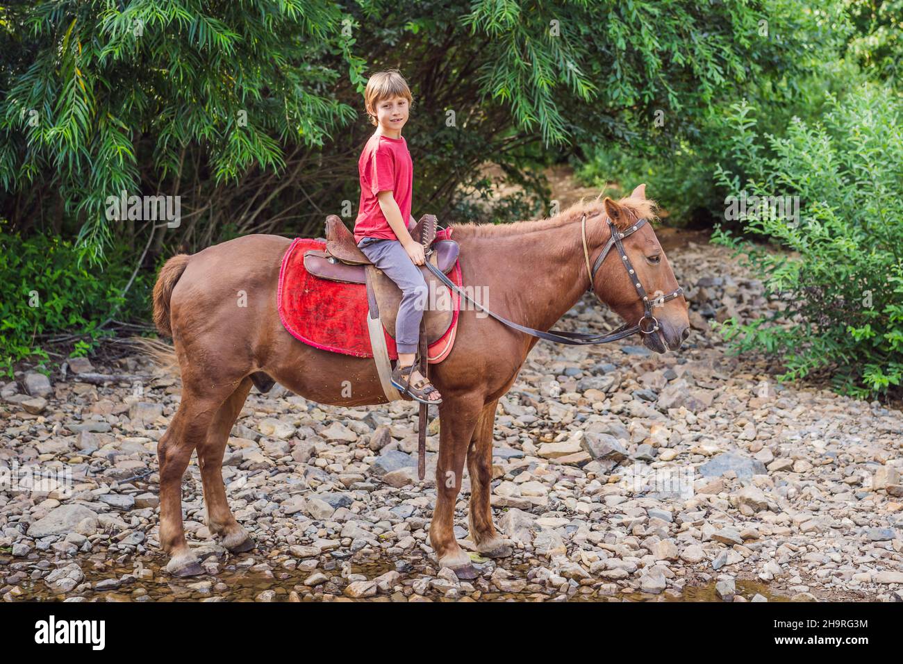 Boy riding hobby horse hi-res stock photography and images - Alamy