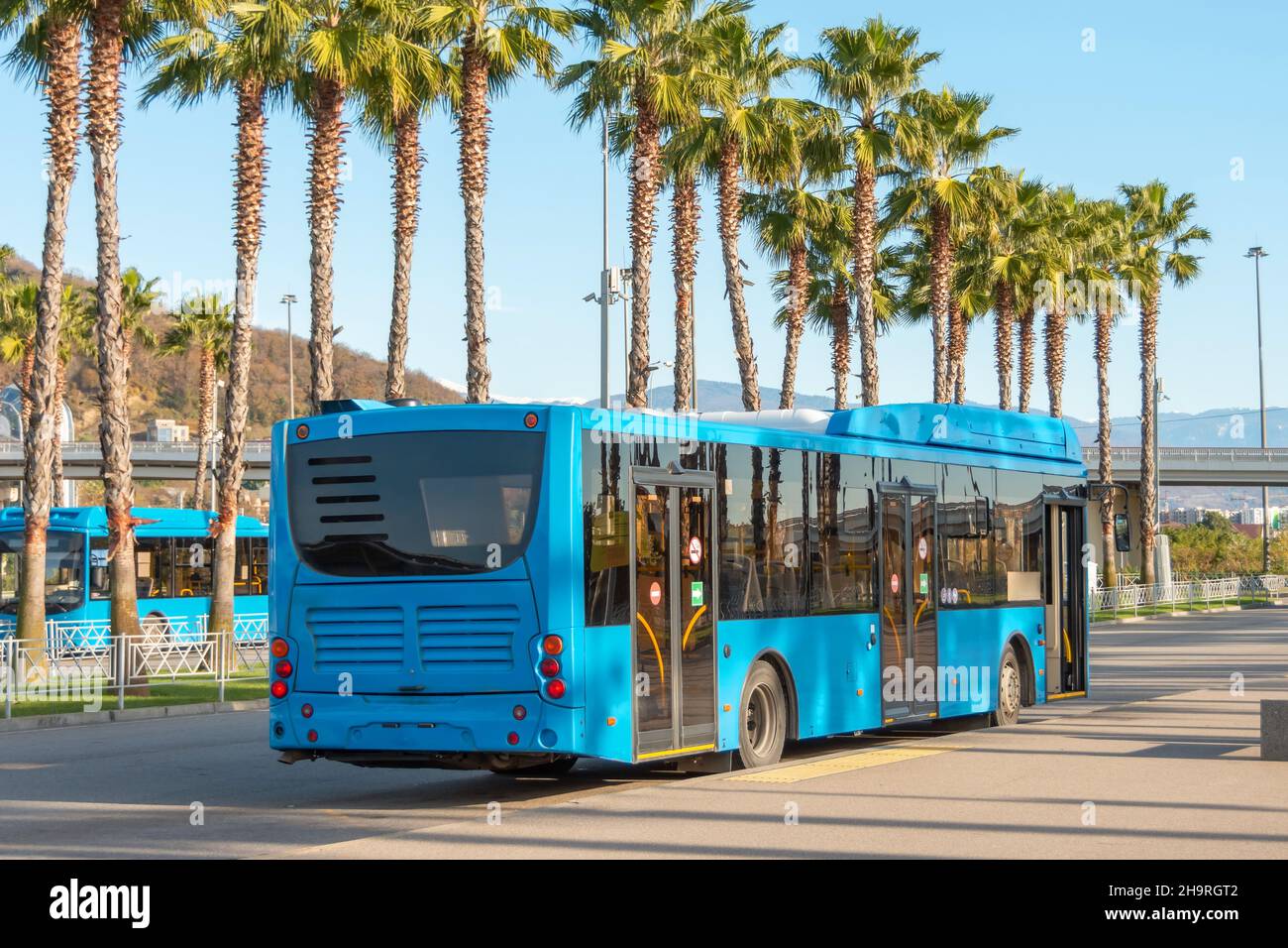 Blue city bus at a route stop waiting for passengers Stock Photo - Alamy