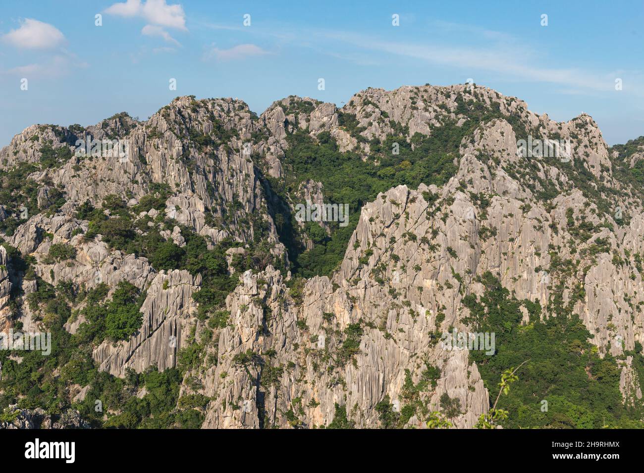 Stone forest ancient fossils hi-res stock photography and images - Alamy