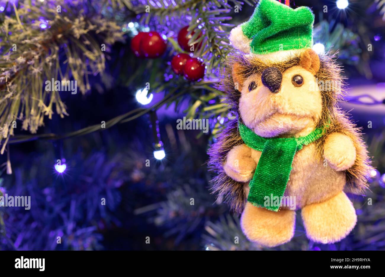 Christmas hedgehog hi-res stock photography and images - Alamy