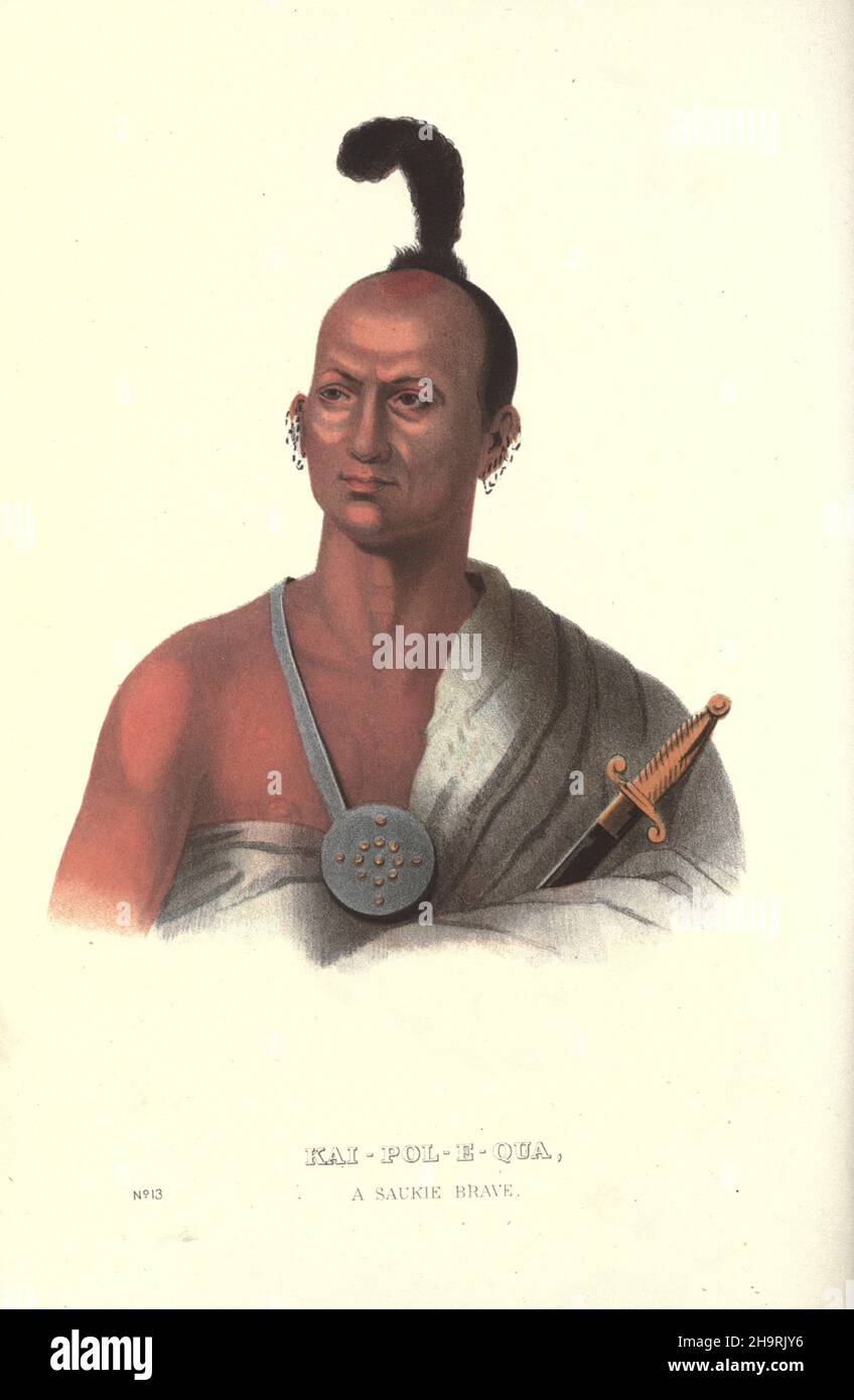 Chief red fox hi-res stock photography and images - Alamy