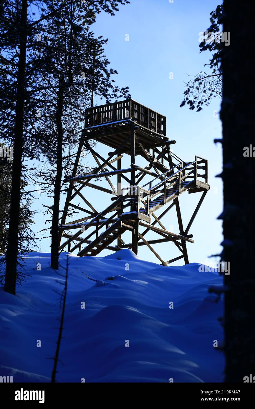 Backlit shot of lookout tower in Swedish forest Stock Photo - Alamy