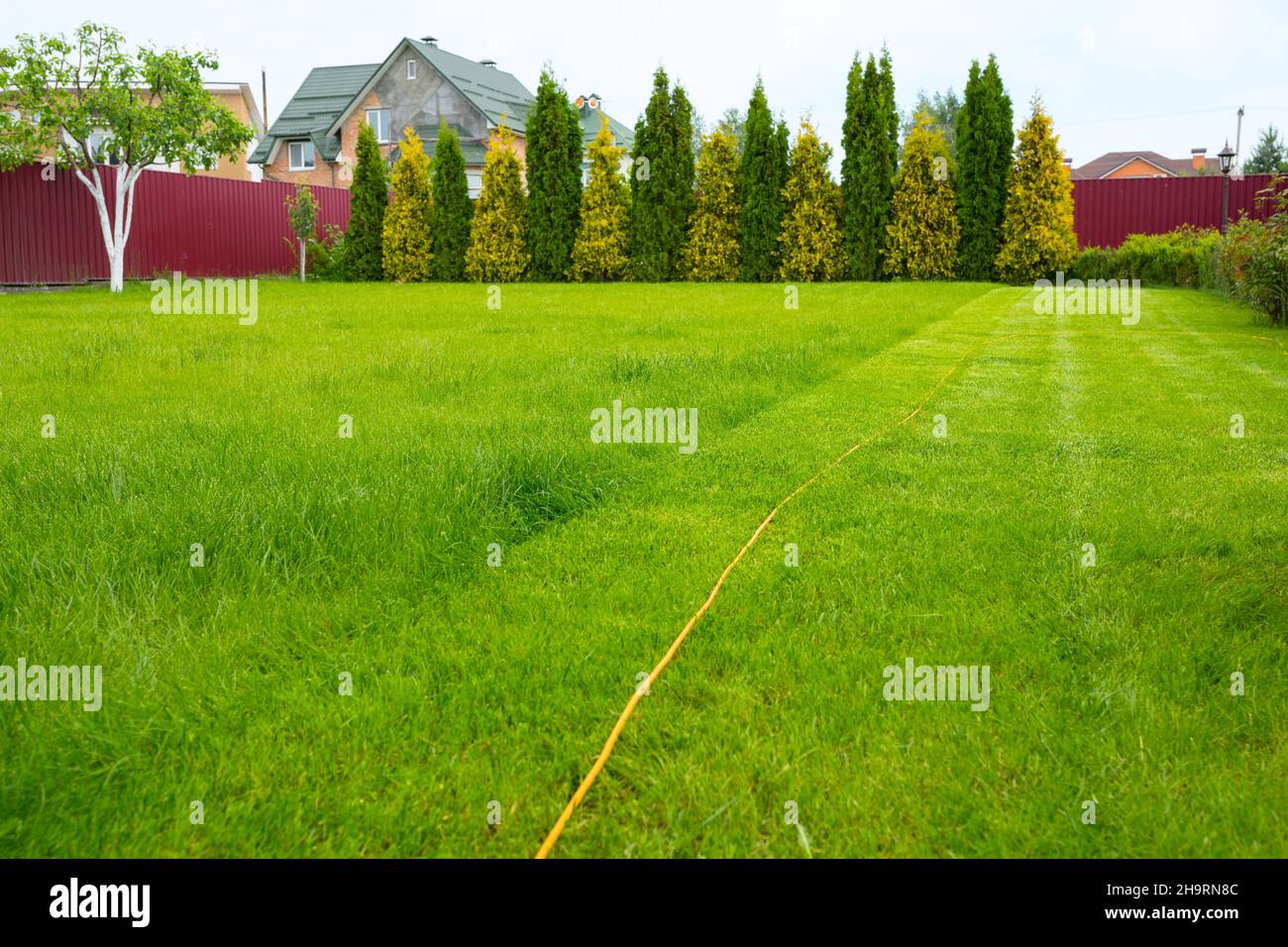 Bermuda Grass Landscape