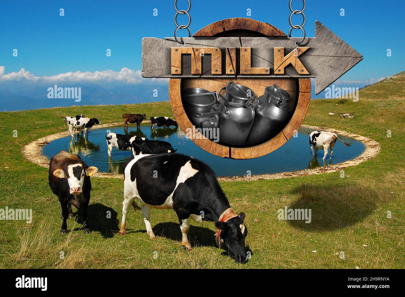 Wooden sign with directional arrow, text Milk and steel milk canisters ...