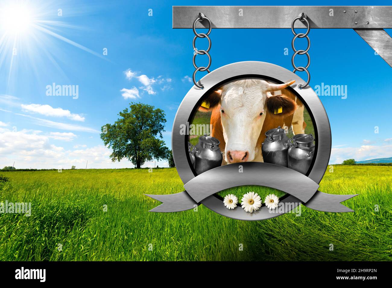 Dairy products sign with head of cow, milk canisters, green grass and ...