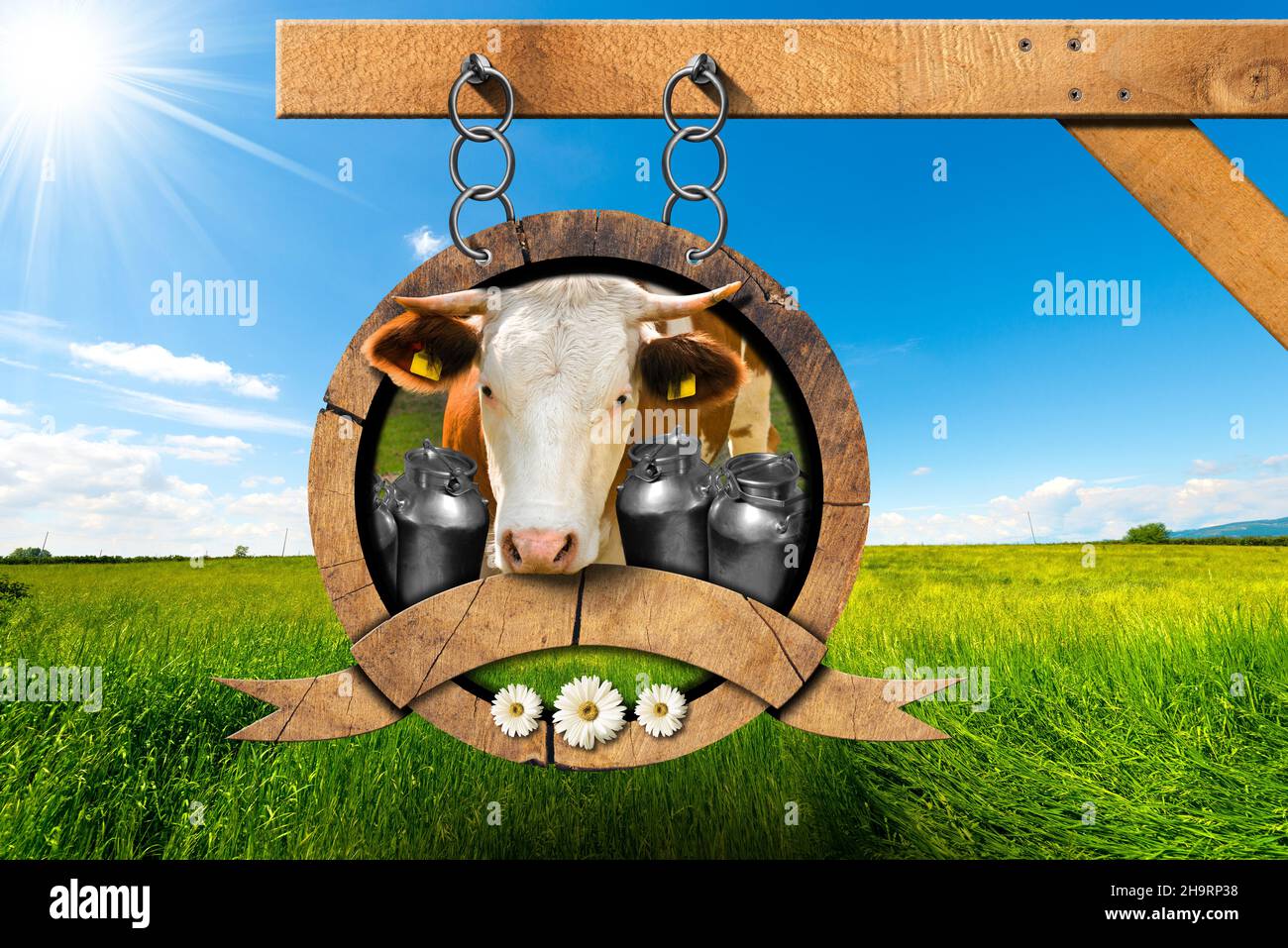Dairy products sign with head of cow, milk canisters, green grass and ...