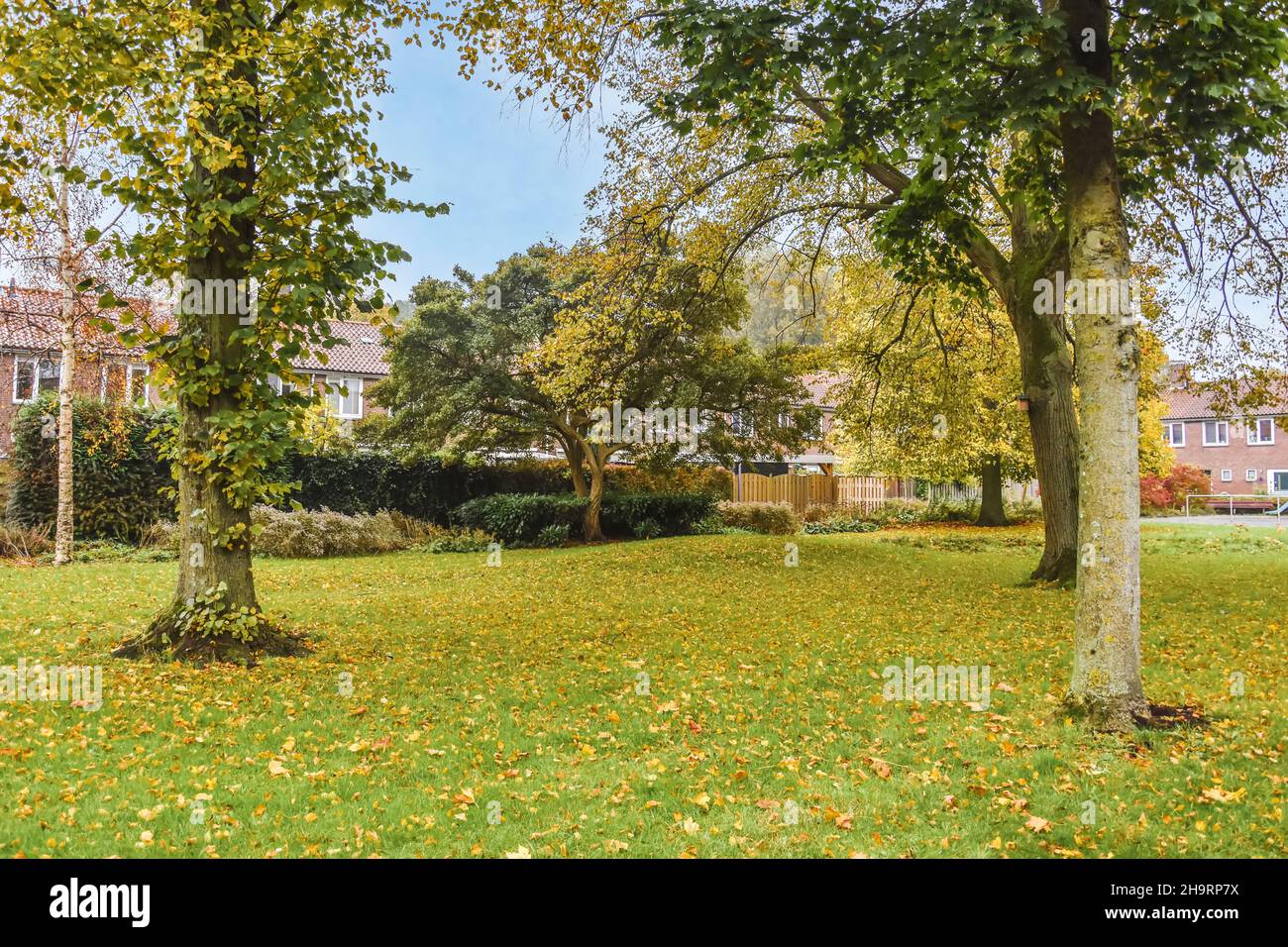 Cozy park hi-res stock photography and images - Alamy