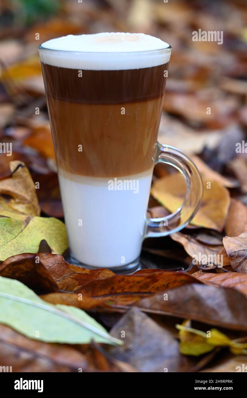 Autumn leaves and gingerbread latte coffee Stock Photo - Alamy