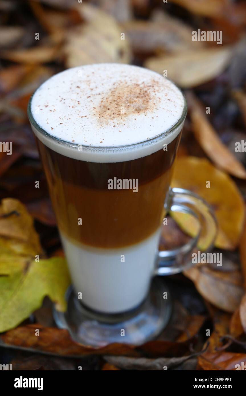 Autumn leaves and gingerbread latte coffee Stock Photo - Alamy