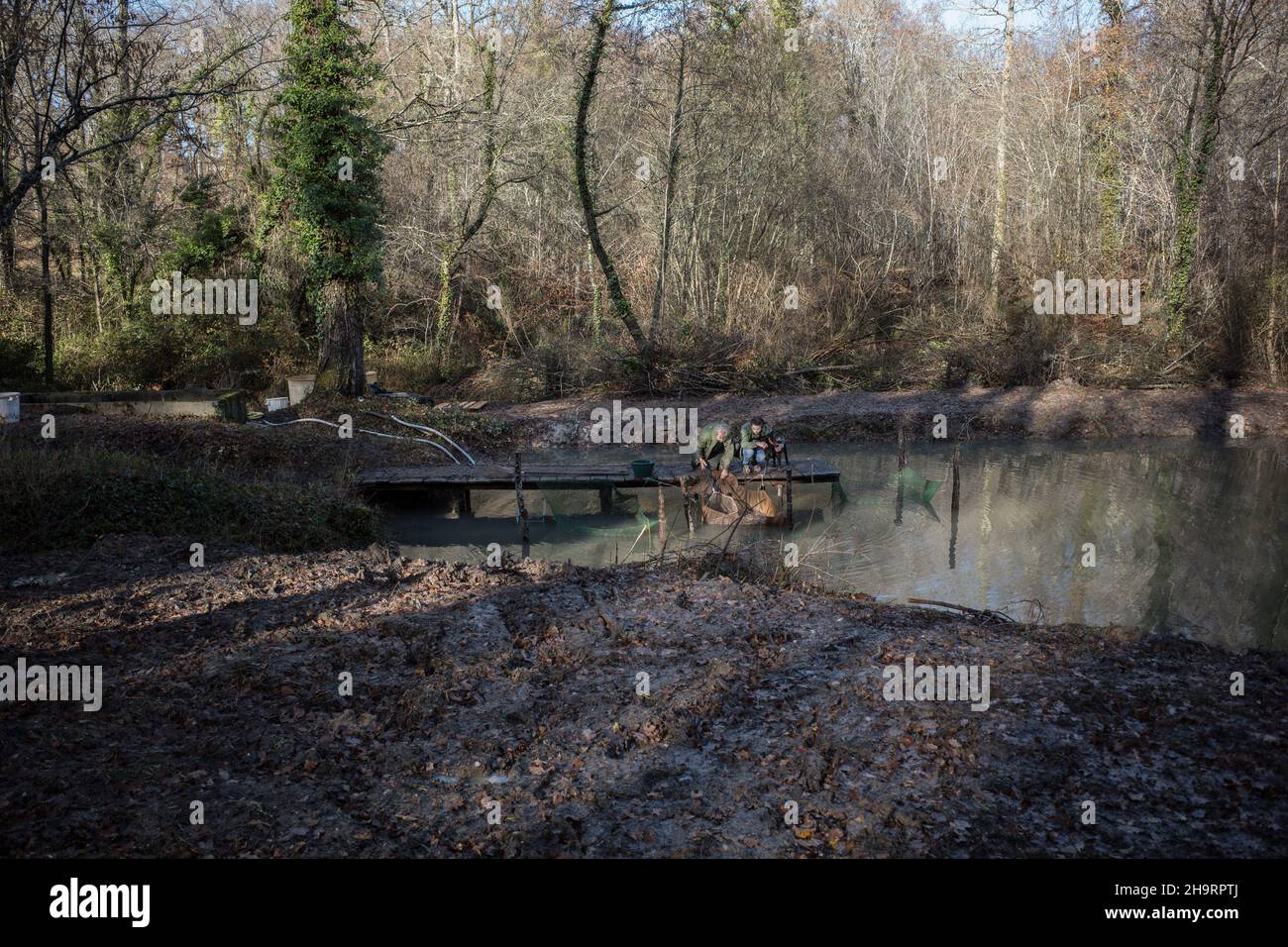 FISHING IN A POND EMPTIED IN WINTER - DORDOGNE FRANCE - BIG CARPS ...