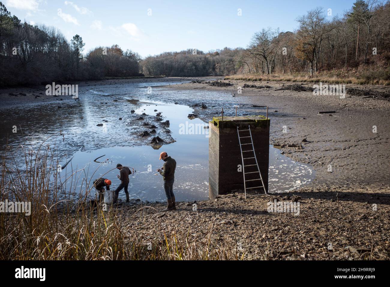 FISHING IN A POND EMPTIED IN WINTER - DORDOGNE FRANCE - BIG CARPS ...