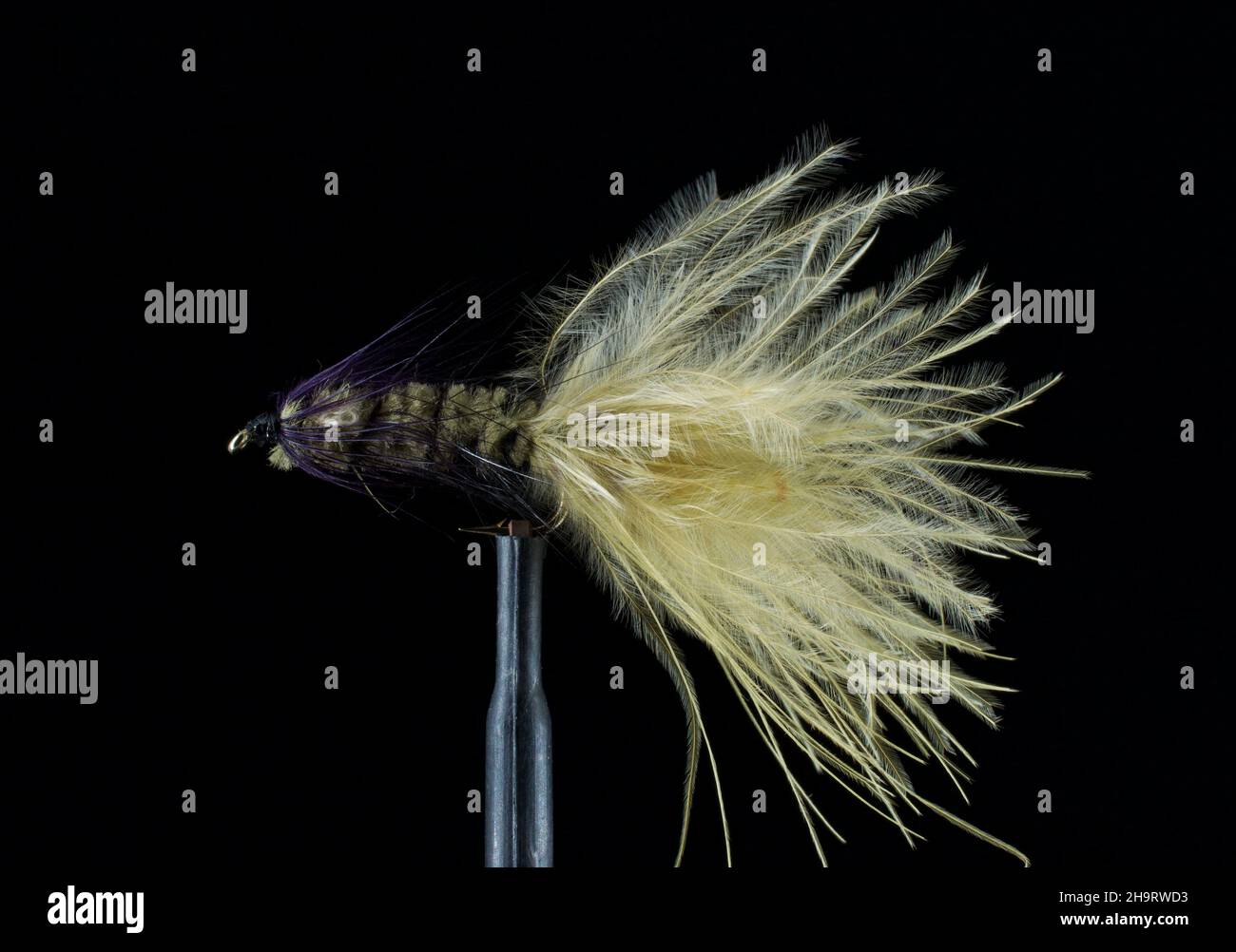 Fly Fishing Streamers Stock Photo - Alamy