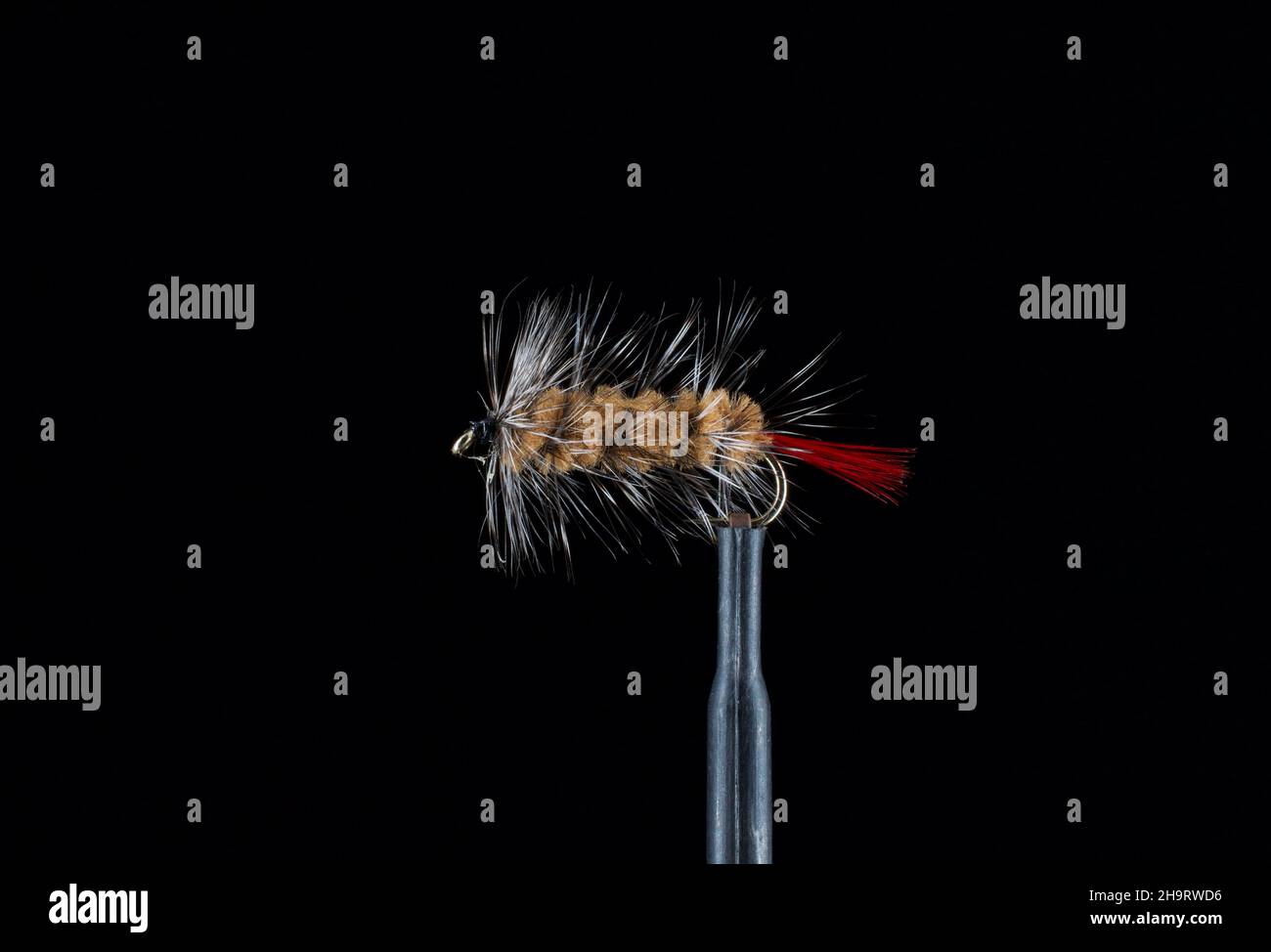 Fly Fishing Streamers Stock Photo - Alamy