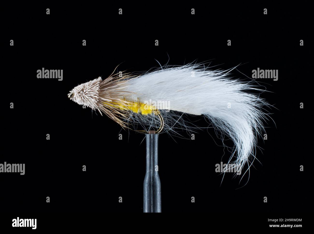 Fly Fishing Streamers Stock Photo - Alamy