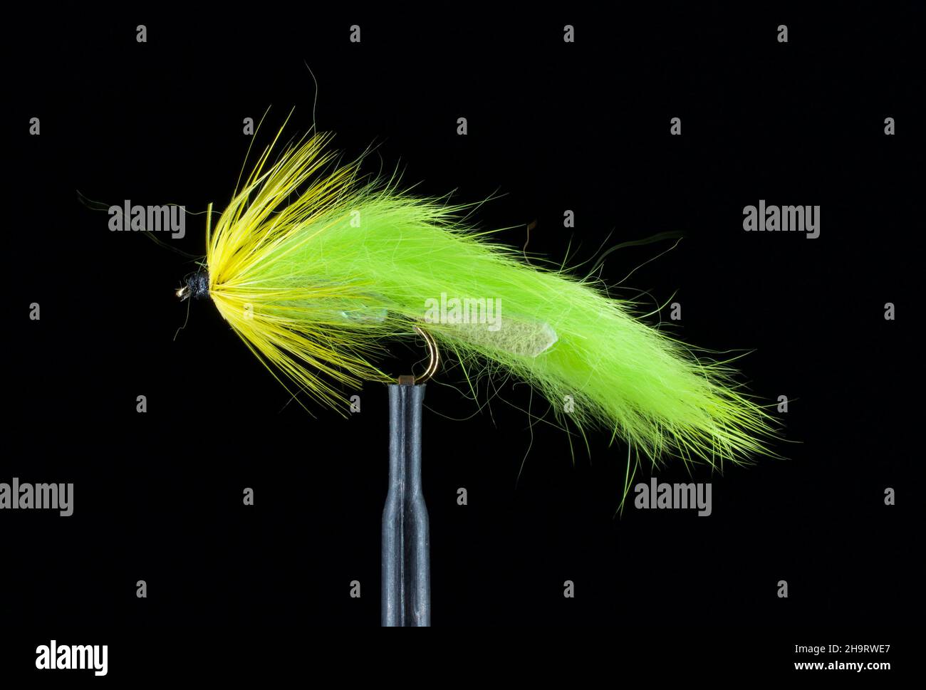 Fly Fishing Streamers Stock Photo - Alamy