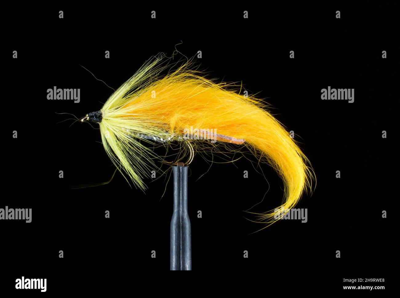 Fly Fishing Streamers Stock Photo - Alamy