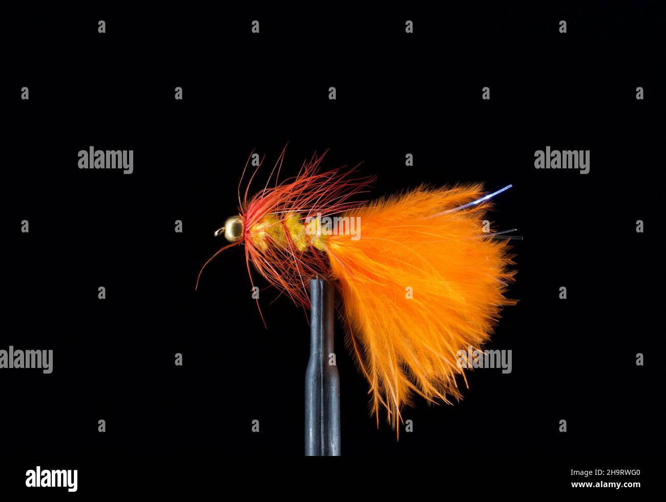 Fly Fishing Streamers Stock Photo - Alamy