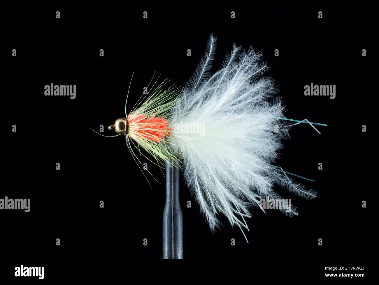 Fly Fishing Streamers Stock Photo - Alamy