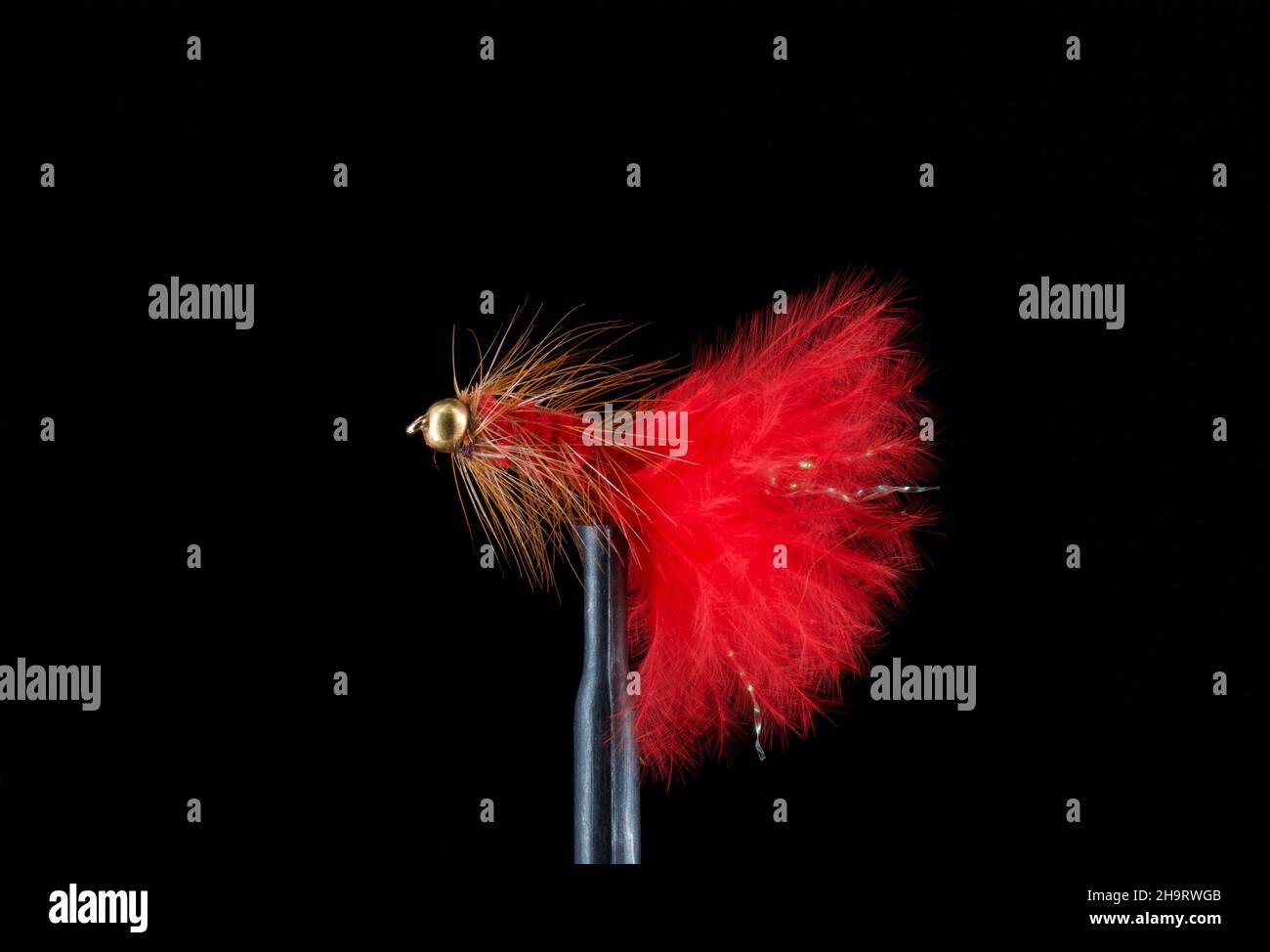 Fly Fishing Streamers Stock Photo - Alamy