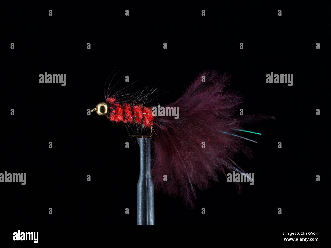 Fly Fishing Streamers Stock Photo - Alamy